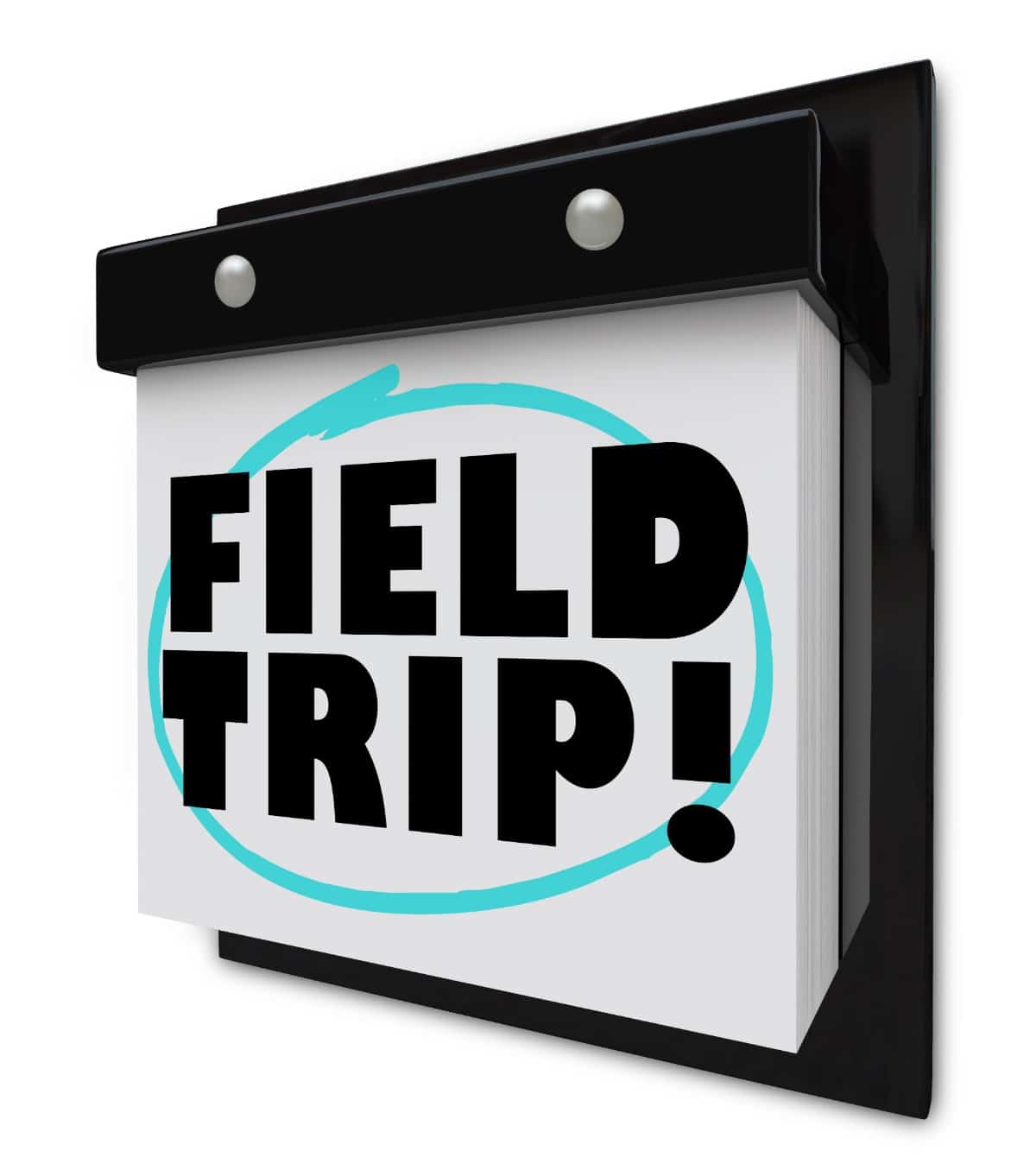 Field Trip Safety Procedures: Guidelines, Checklist, and Plan for K-12 ...