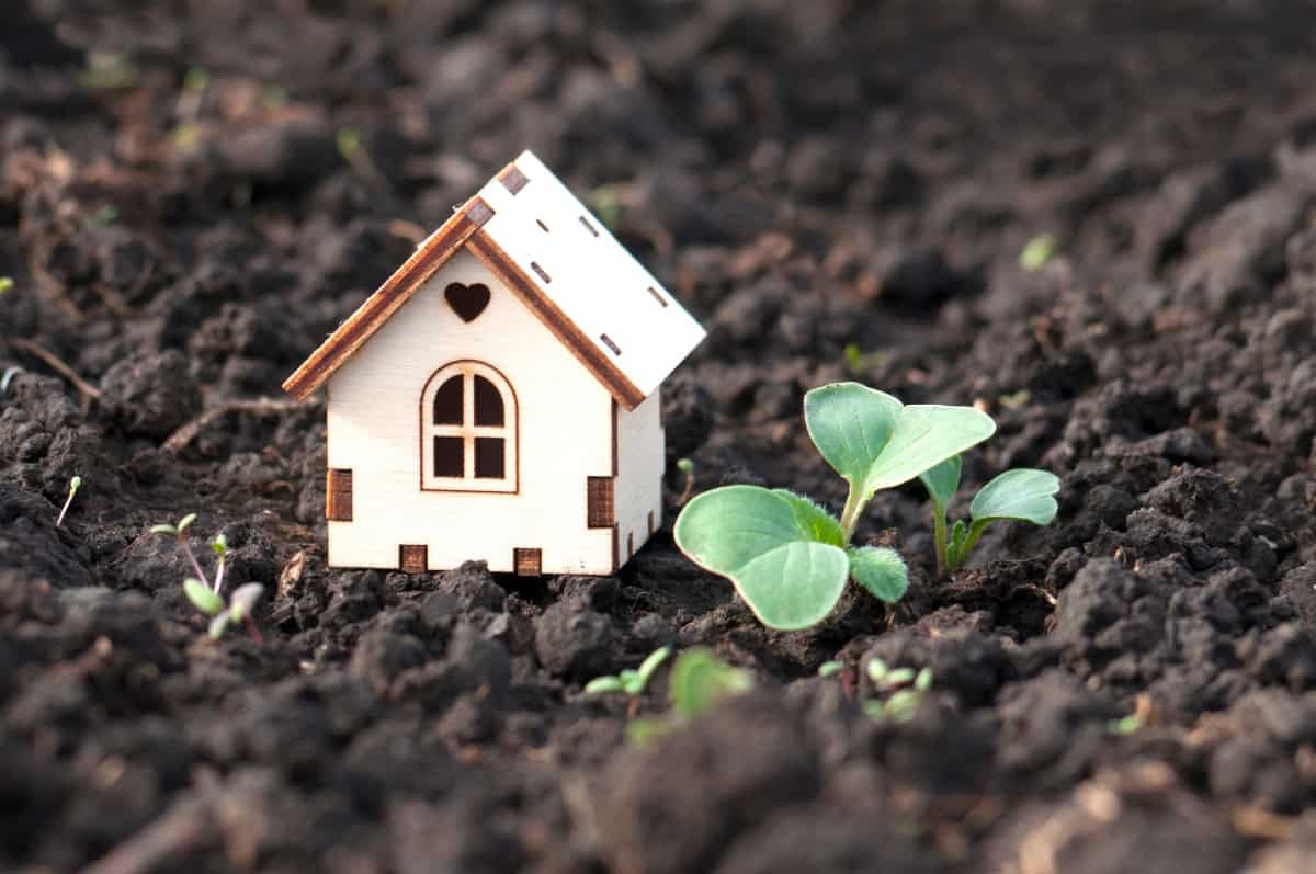 What Are The Steps To Planting A Church: Starting A Church Plant ...